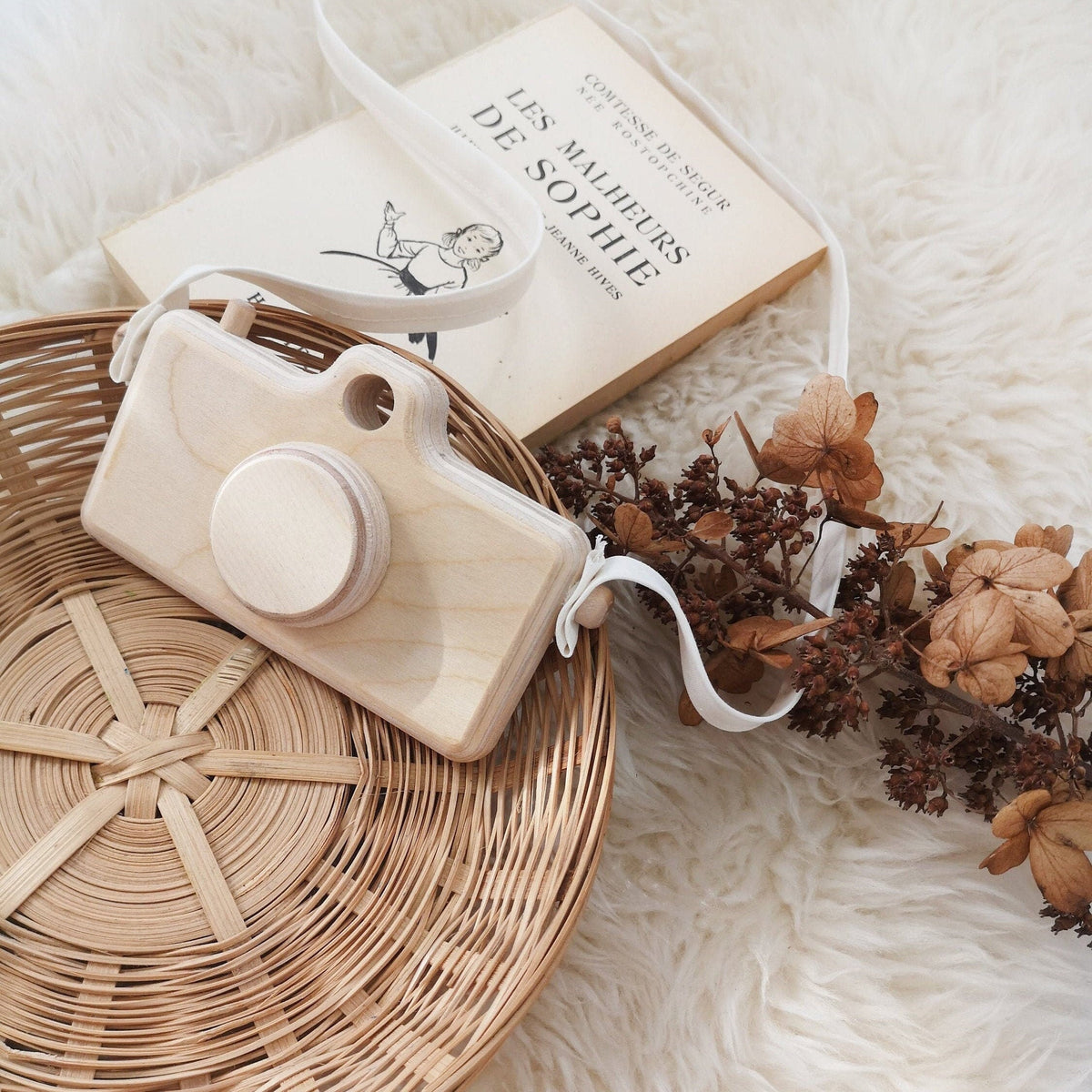 Appareil photo – The Butter Flying